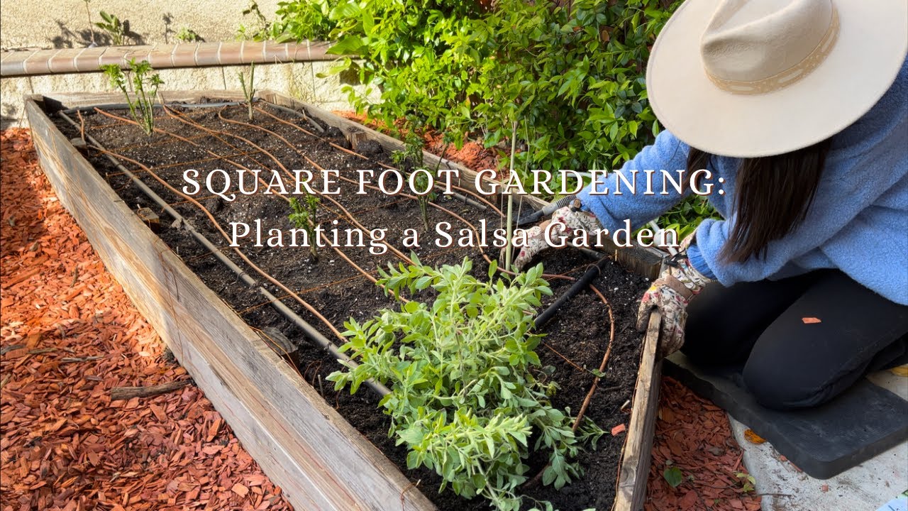 HOW TO PLANT A SALSA GARDEN | USING SQUARE FOOT GARDENING - YouTube