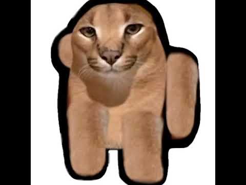 Big floppa sus | Big Floppa | Know Your Meme