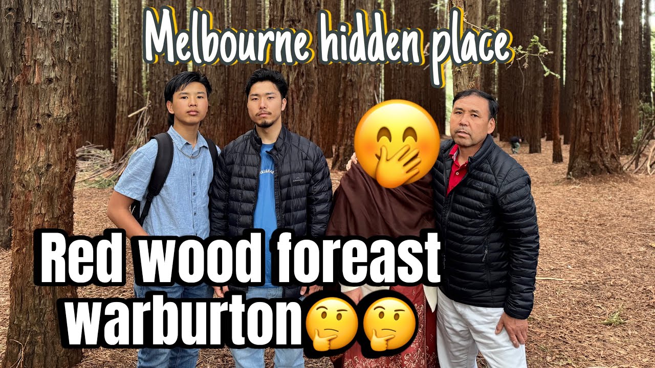 Red wood forest Warburton || with Family full fun || 2025 🤗🤗 - YouTube