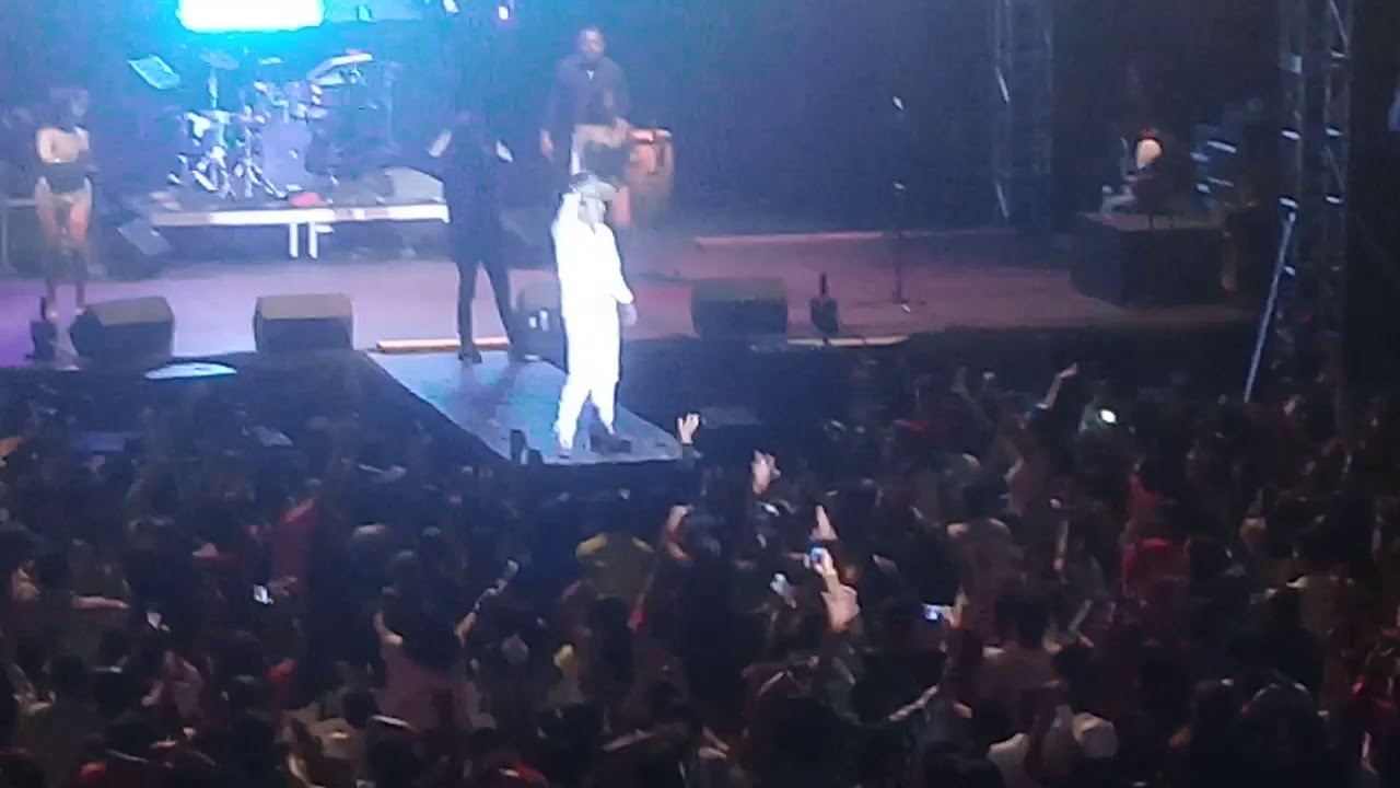 Guaracazo en coliseo voltaire paladines polo 23/06/2018 - YouTube