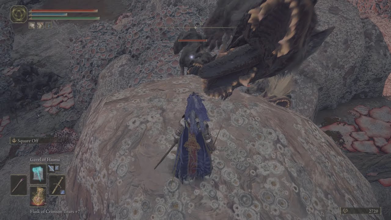 Elden Ring: Cuckoo Knight surrounded by dogs in Caelid - YouTube