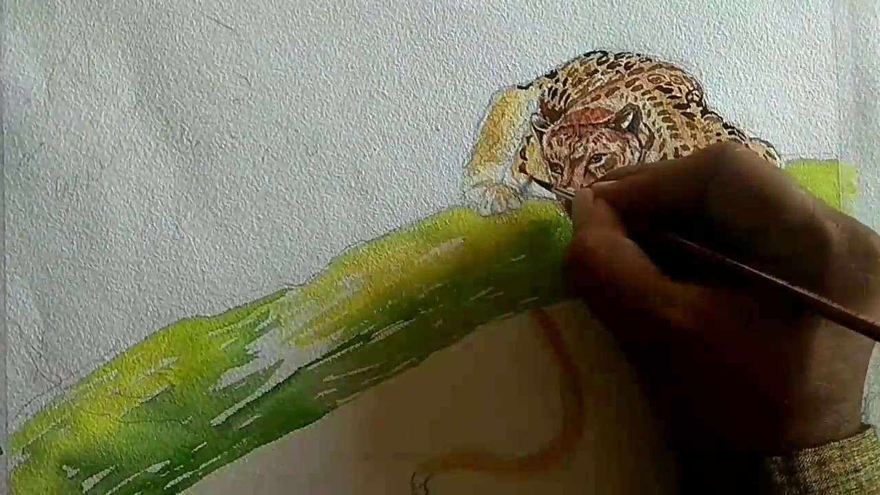 Learn How To Paint A Cheetah In Watercolor-15 - YouTube