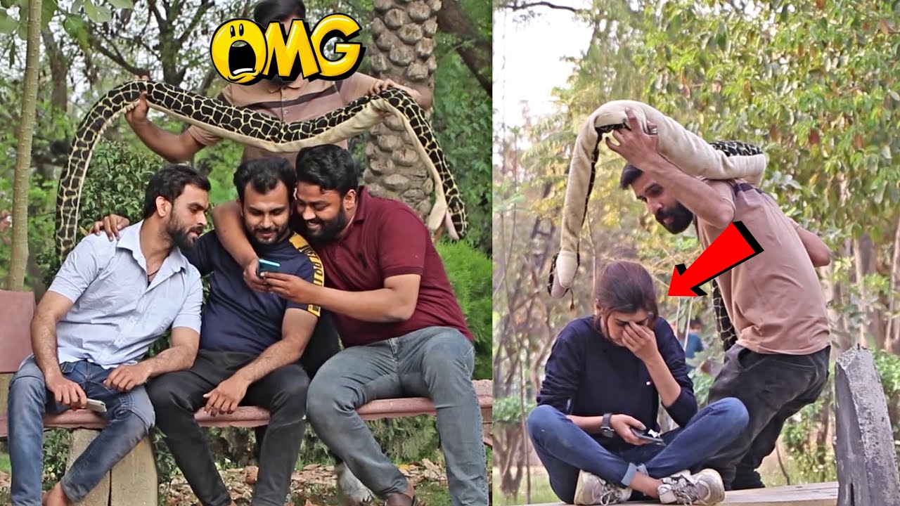 Fake King Cobra Prank | Funny Reactions - YouTube
