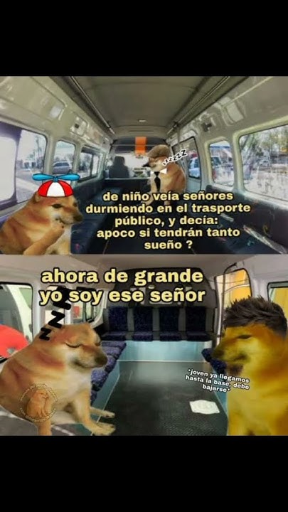 memes de CHEEMS parte 16 - YouTube