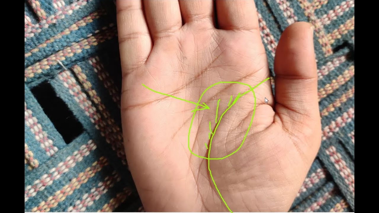 Progress Lines coming out from LIfe Line - YouTube