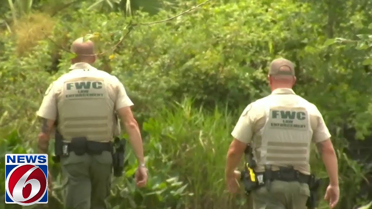 Snorkeler hurt in gator attack at Alexander Springs in Florida - YouTube