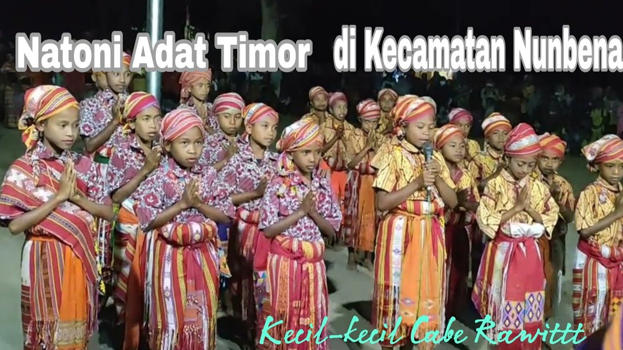 Natoni Adat Timor|| Kecamatan Nunbena|| Timor Tengah Selatan - YouTube