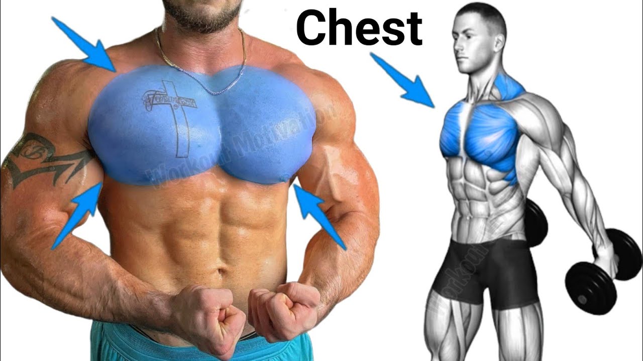 6 Effective Chest Exercises You Should Be Doing - YouTube