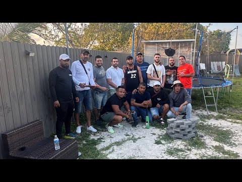 Palomo de Norberto y Lidier (CPA) - YouTube