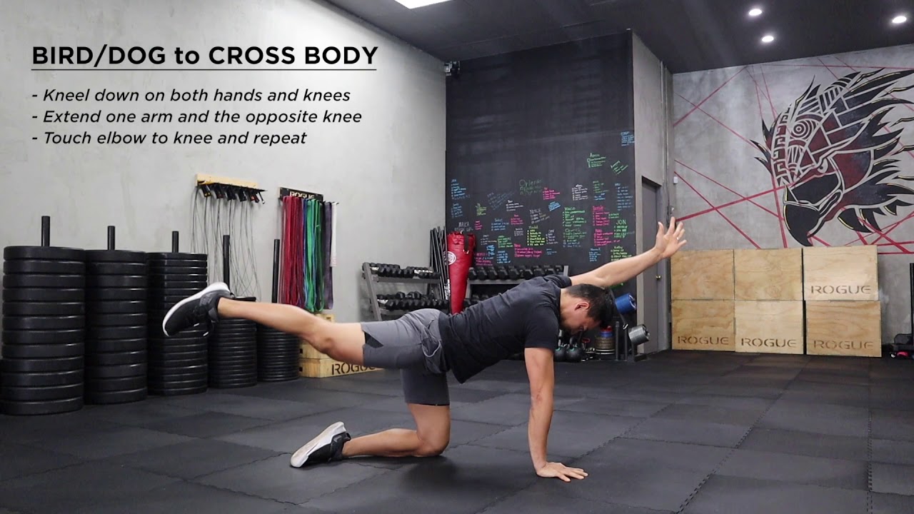 Bird/Dog to Cross Body - YouTube