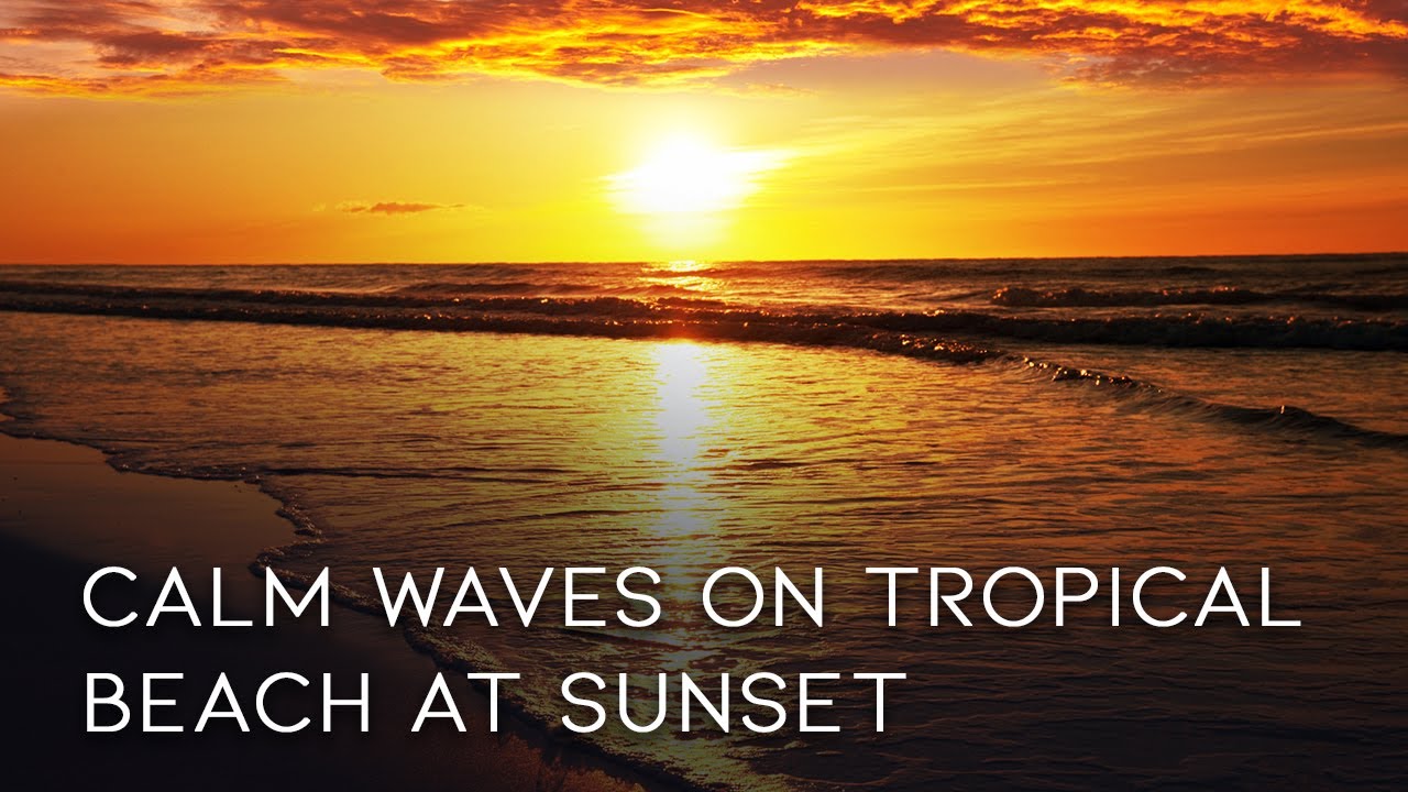 Calm Waves On A Tropical Beach At Sunset | Ocean Sounds, Ocean Waves ...