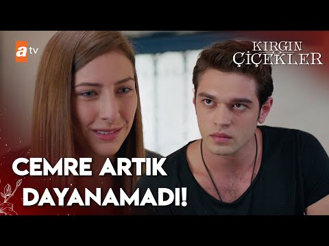 Gökhan, Defne'nin gazına geldi! | Kırgın Çiçekler