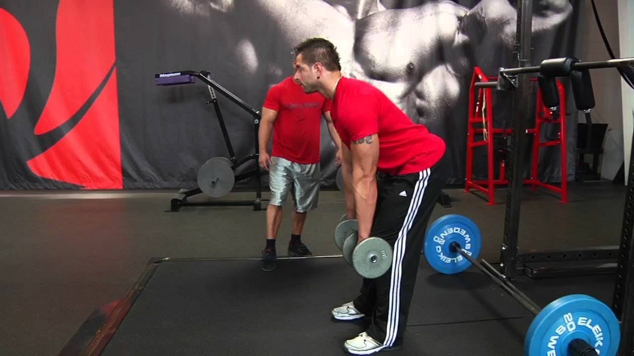 ROMANIAN Deadlift With Dumbbells - YouTube