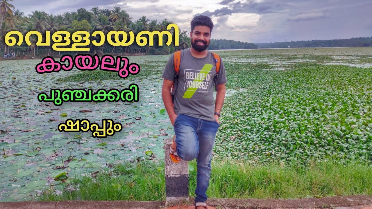 Vellayani Lake punchakari wetland - YouTube