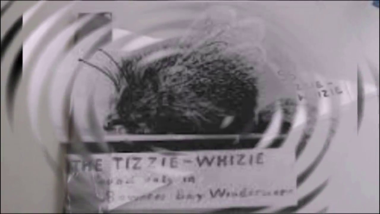 OLD BLACK & WHITE FILM - "The Tizzie-Whizie" - 1900 - YouTube