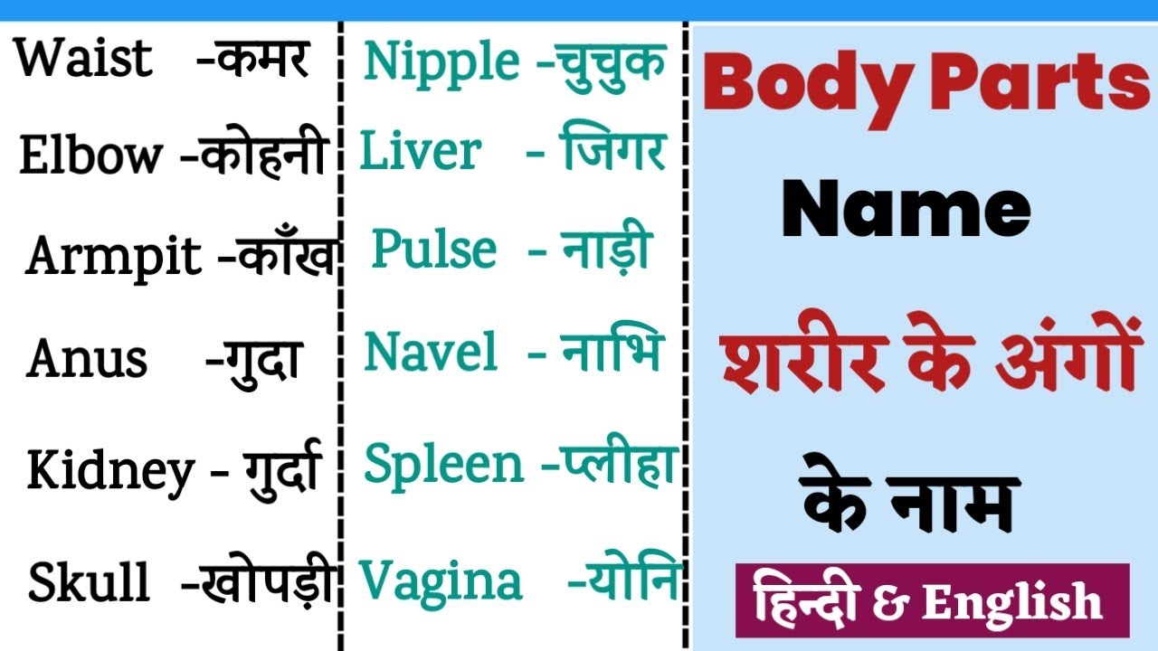 शरीर के अंगों के नाम | Body Parts Name Hindi & English | Vocab Wallah ...