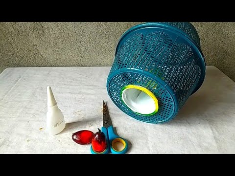 CARA MUDAH BUAT PERANGKAP IKAN SEDERHANA | make simple fish trap - YouTube