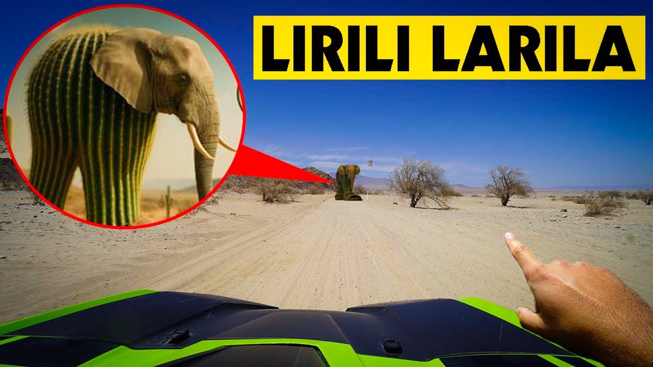 IF YOU SEE LIRILI LARILA WHILE DRIVING AN ATV IN THE DESERT DO NOT ...