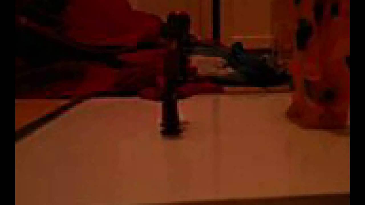 The scary bumble bee - YouTube