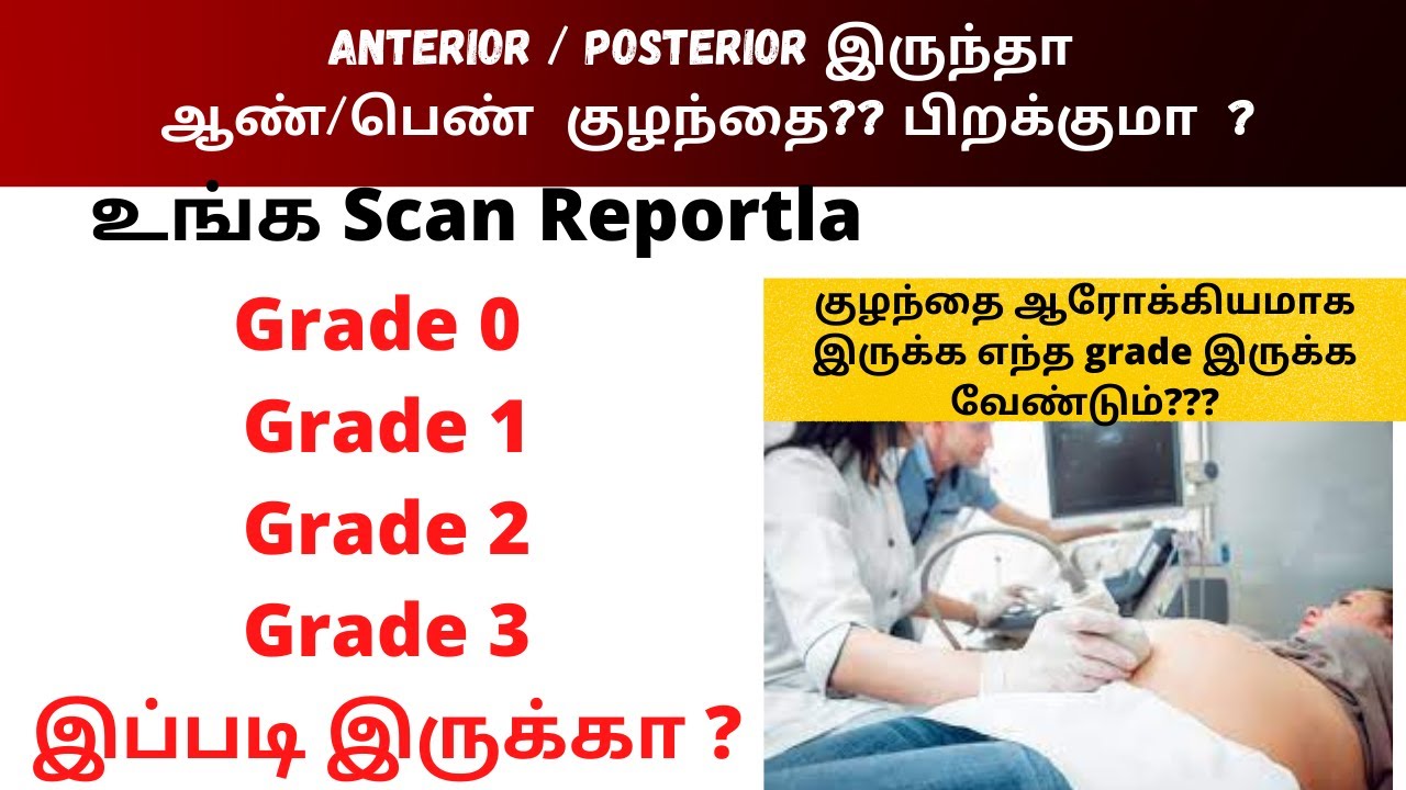 grade-maturity-in-pregnancy-in-tamil-placenta-grade-1-maturity