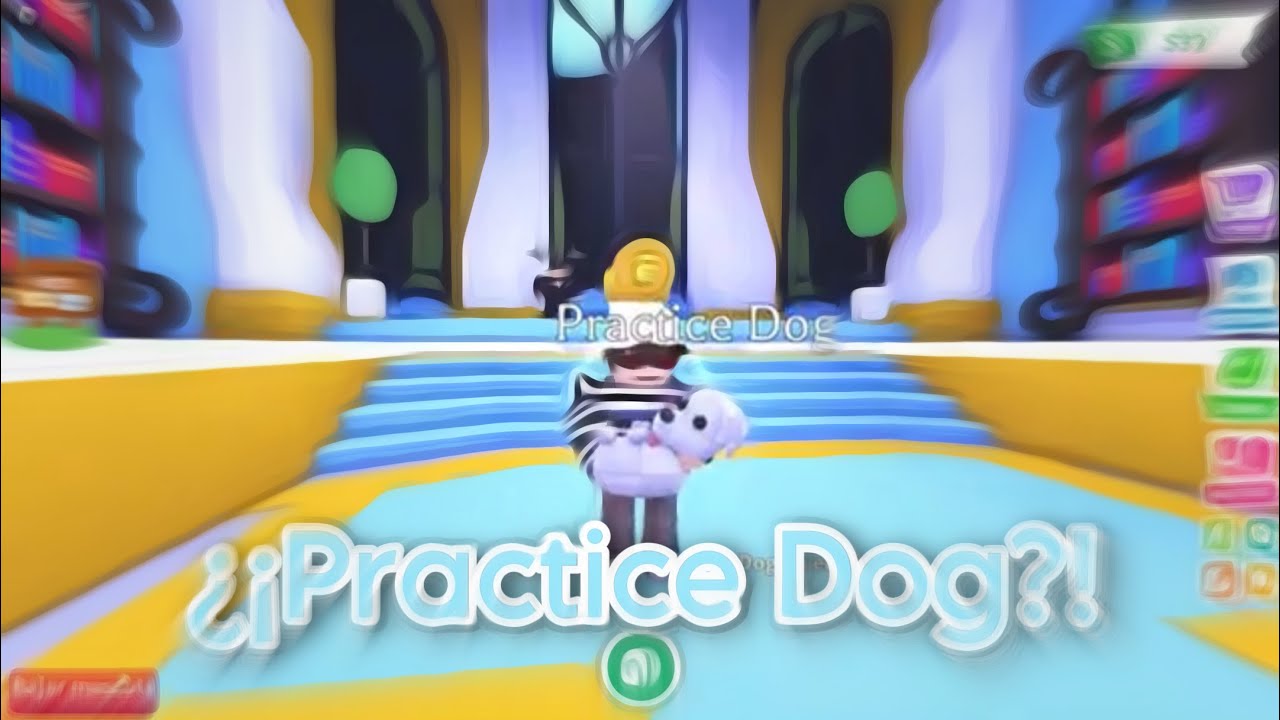 ¡Como conseguir el nuevo Practice Dog en Adopt Me! - YouTube