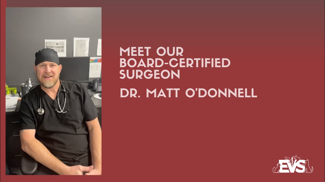 Meet Dr. Matt O'Donnell - YouTube
