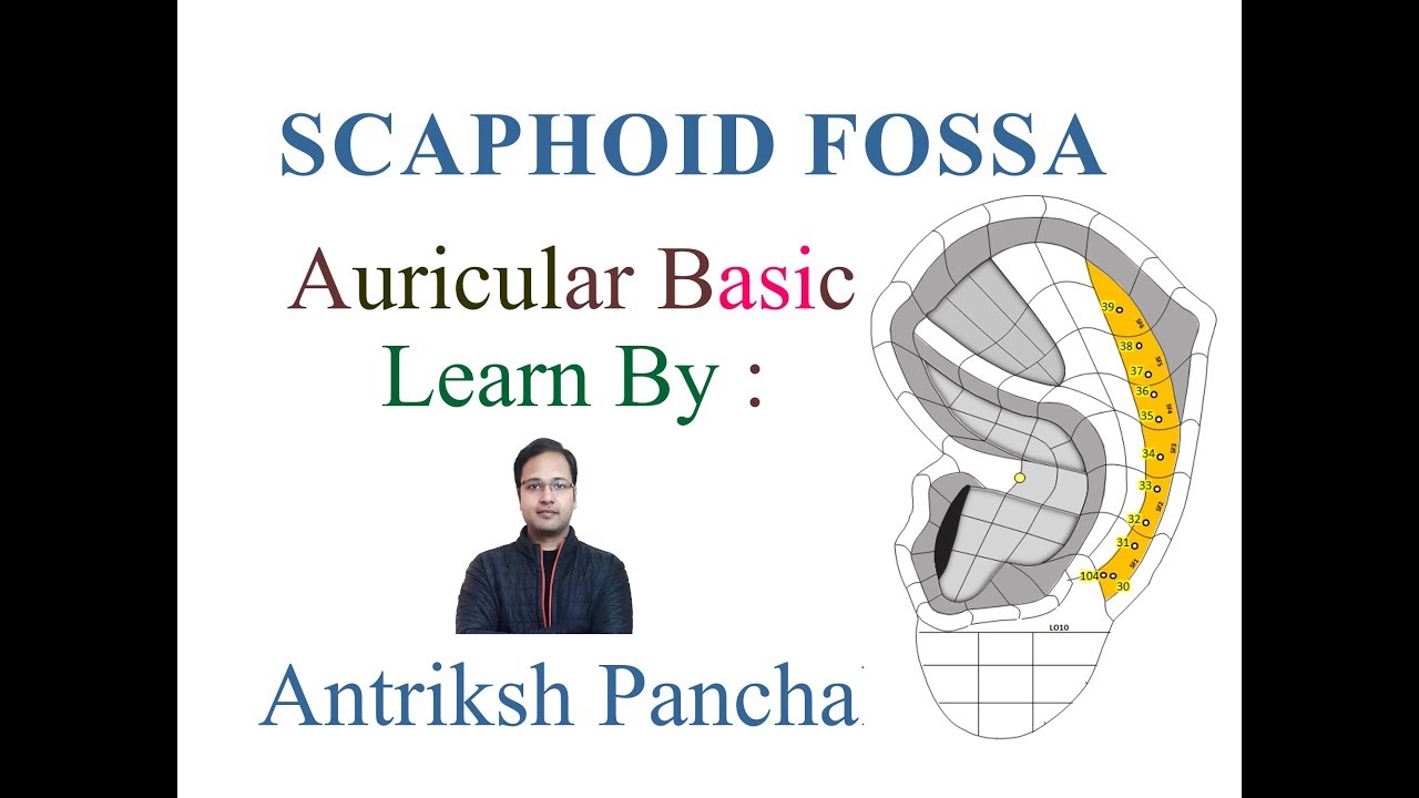 Scaphoid Fossa In Auricular Master Class By Antriksh Panchal - YouTube