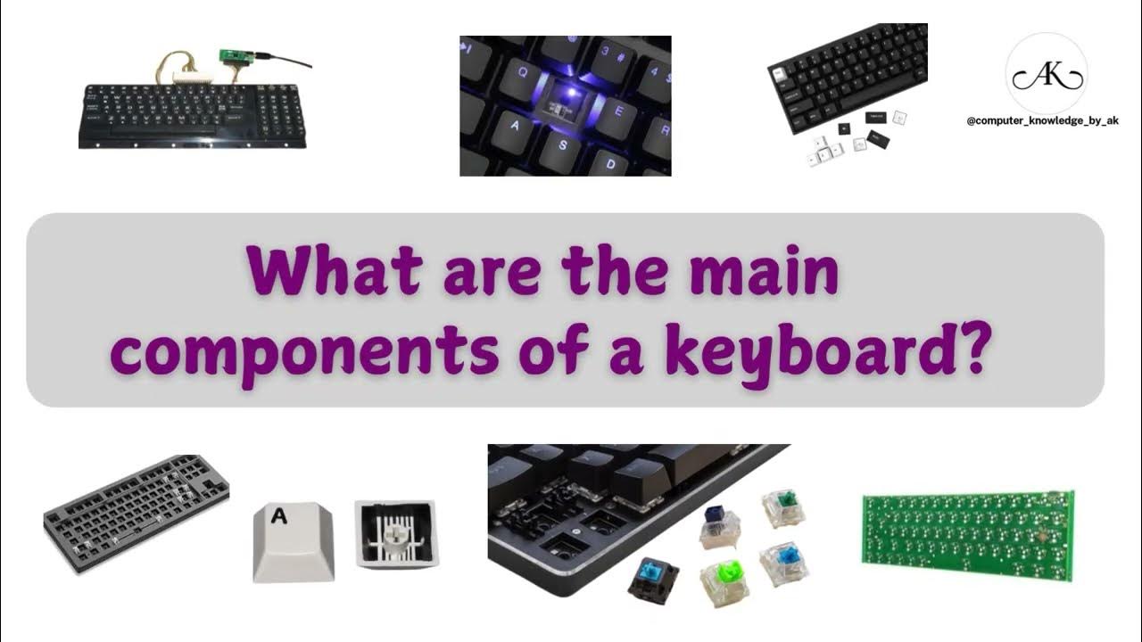 What are the main components of a Keyboard? - YouTube