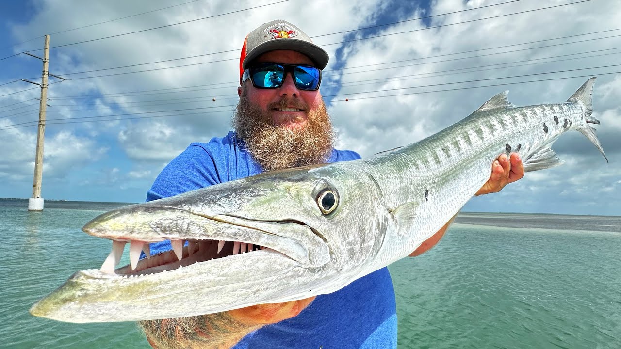 The MEANEST FISH in the ocean!!! Florida Keys fishing and cooking ...