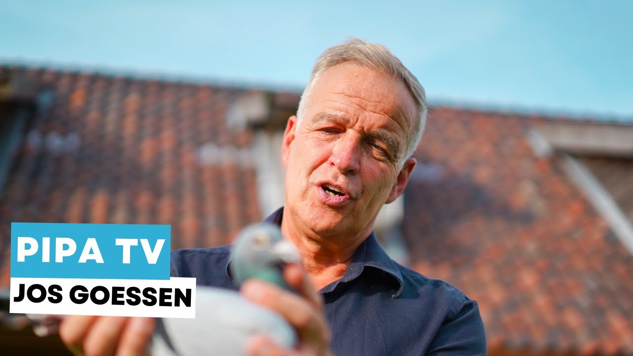 PIPA TV: Jos Goessen (NL) - YouTube