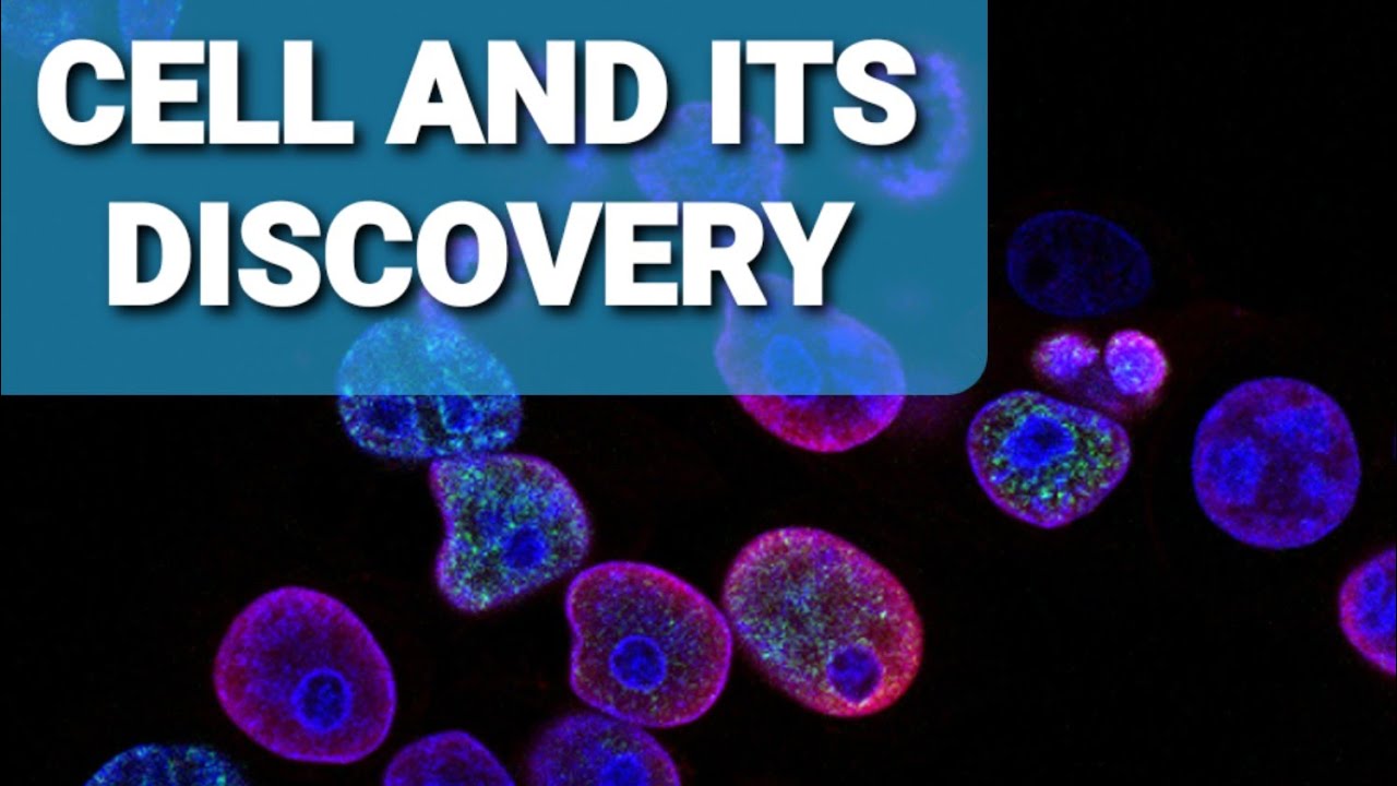 Cell Discovery | The Fundamental Unit of Life| Biology| CLASS-9| - YouTube
