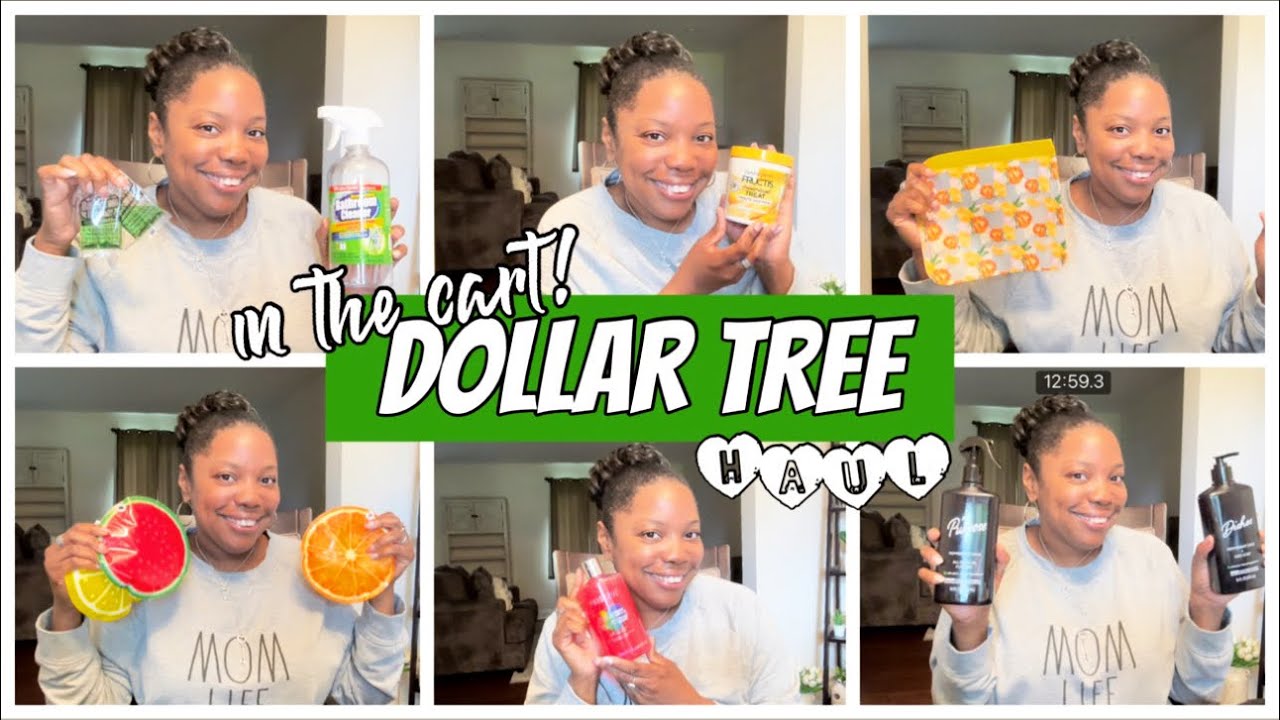 DOLLAR TREE | DOLLAR TREE HAUL | WHATS NEW AT DOLLAR TREE - YouTube