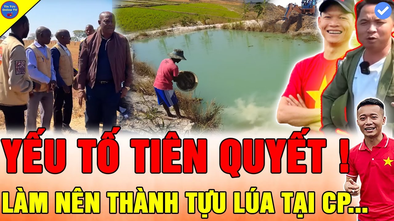 🔴Team Quang Linh Vlogs THU HÚT HÀNG LOẠT LÃNH ĐẠO TỚI THAM QUAN LÚA TẠI ...