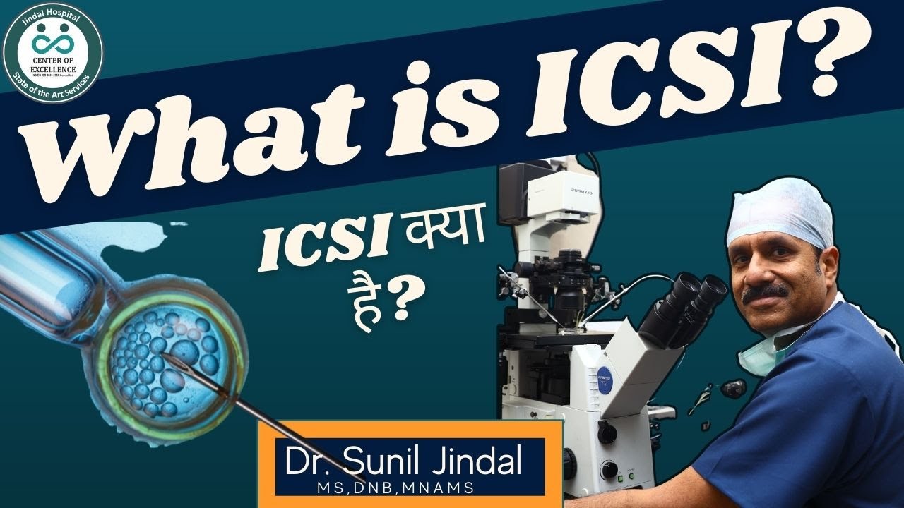 intracytoplasmic-sperm-injection-treatment|ICSI-क्या-है|Dr. Sunil ...