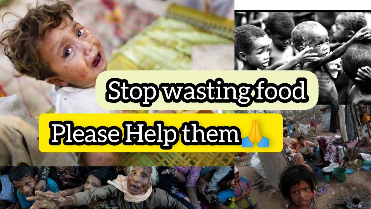 Lack Of Food Please Help Them Stop Wasting Food Help The Poor lack-of-food-please-help-them-stop-wasting-food-help-the-poor