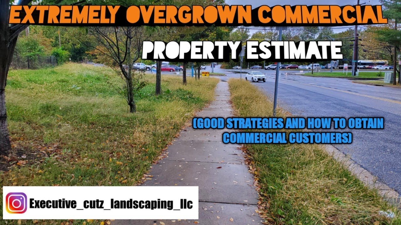 🍂EXTREMELY OVERGROWN COMMERCIAL PROPERTY ESTIMATES..HOW TO OBTAIN NEW ...