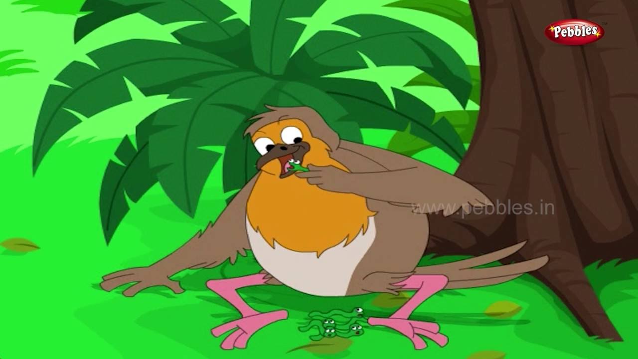 Robin Rhyme in Hindi | Hindi Rhymes For Kids | हिंदी कविता | Bird ...