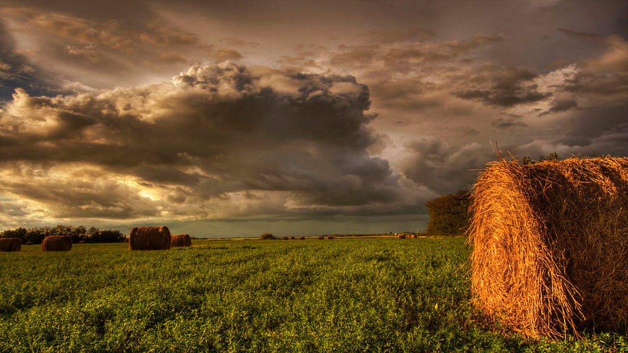 "The Thing That Stalks the Fields" Creepypasta Horror Short Film ...