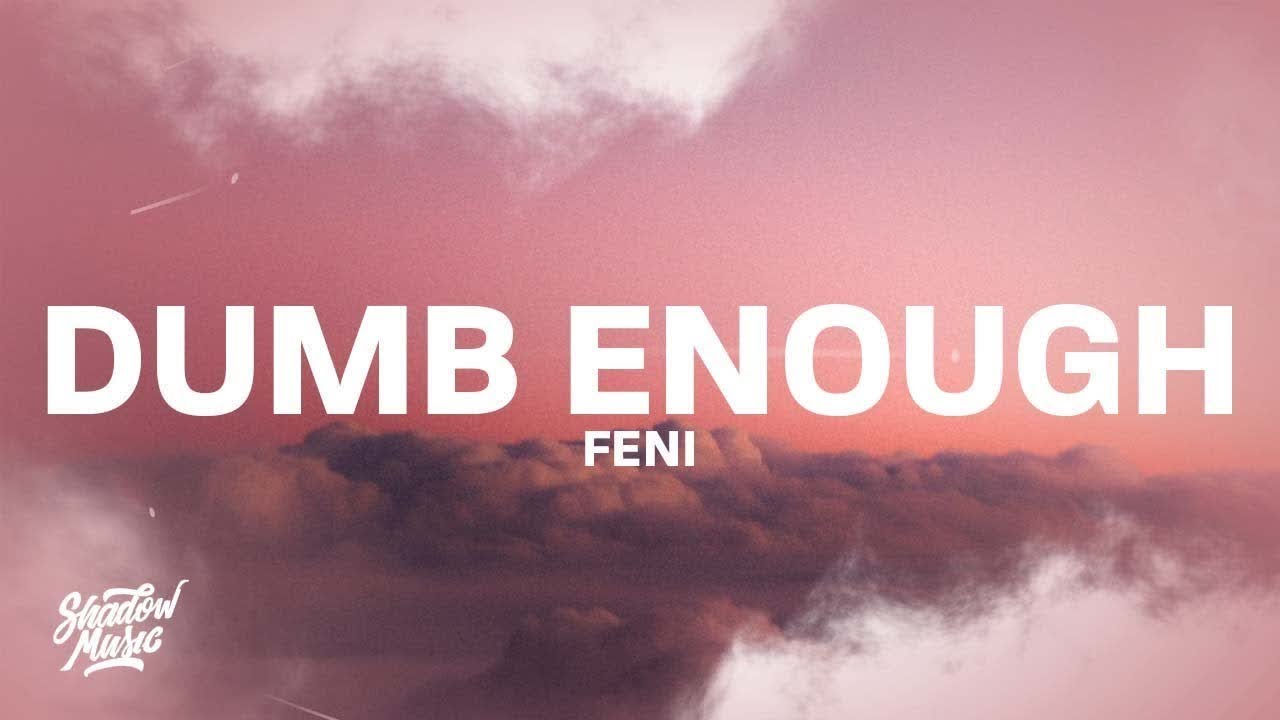 Feni - Dumb Enough (lyrics) sip patron but this aint got me drunk enough [TikTok] | 1 HOUR - YouTube