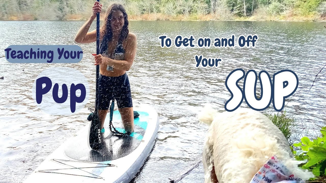 Step 9: Practice Getting On and Off on Cue on Location - YouTube
