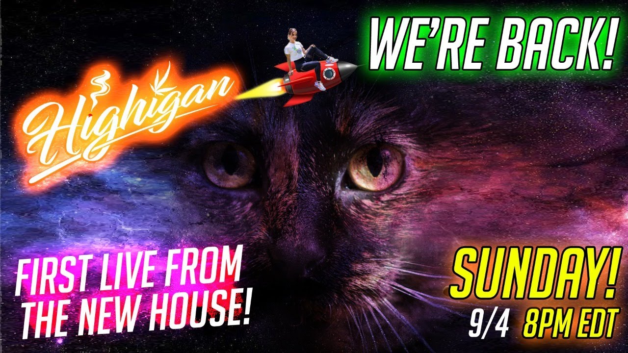 We're Back! First Live In The New House! - YouTube