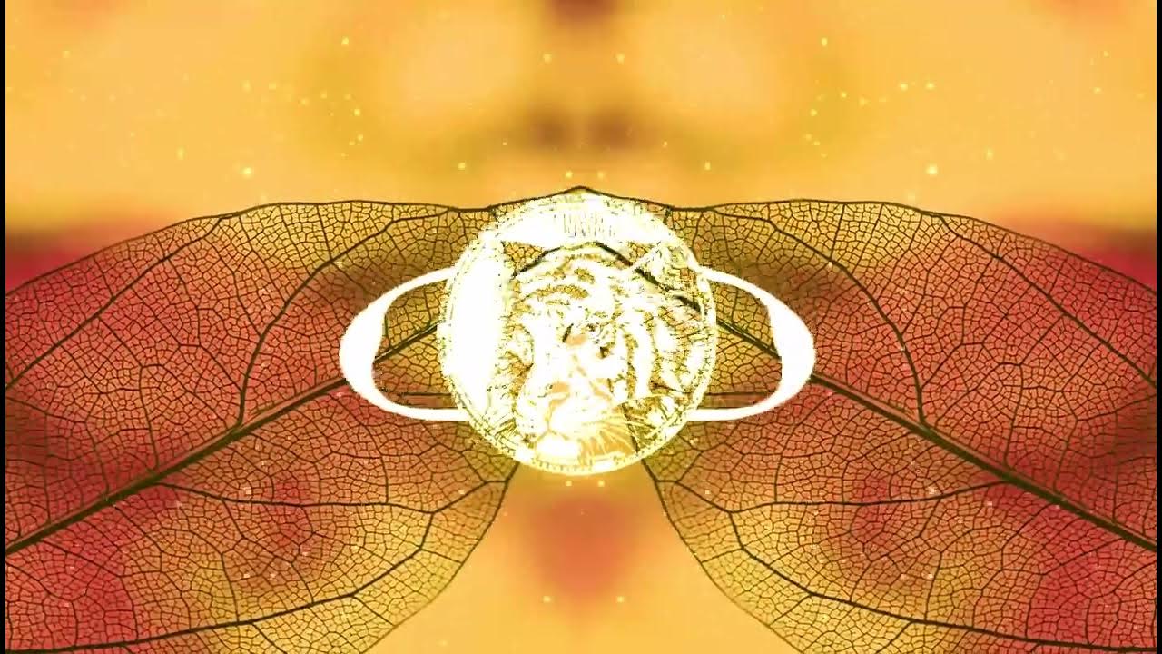 Python - Jump! - YouTube