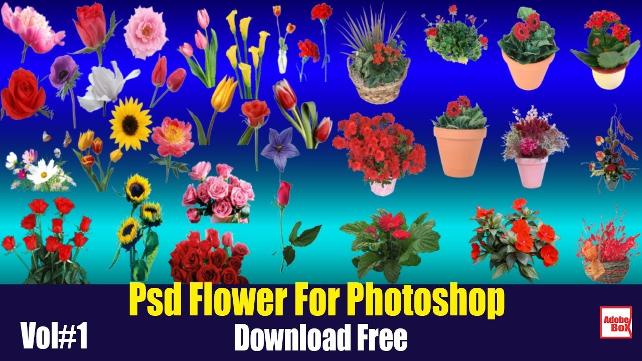 Psd Flower For Photoshop Vol#1 Download Free By Adobe BoX 2018 - YouTube