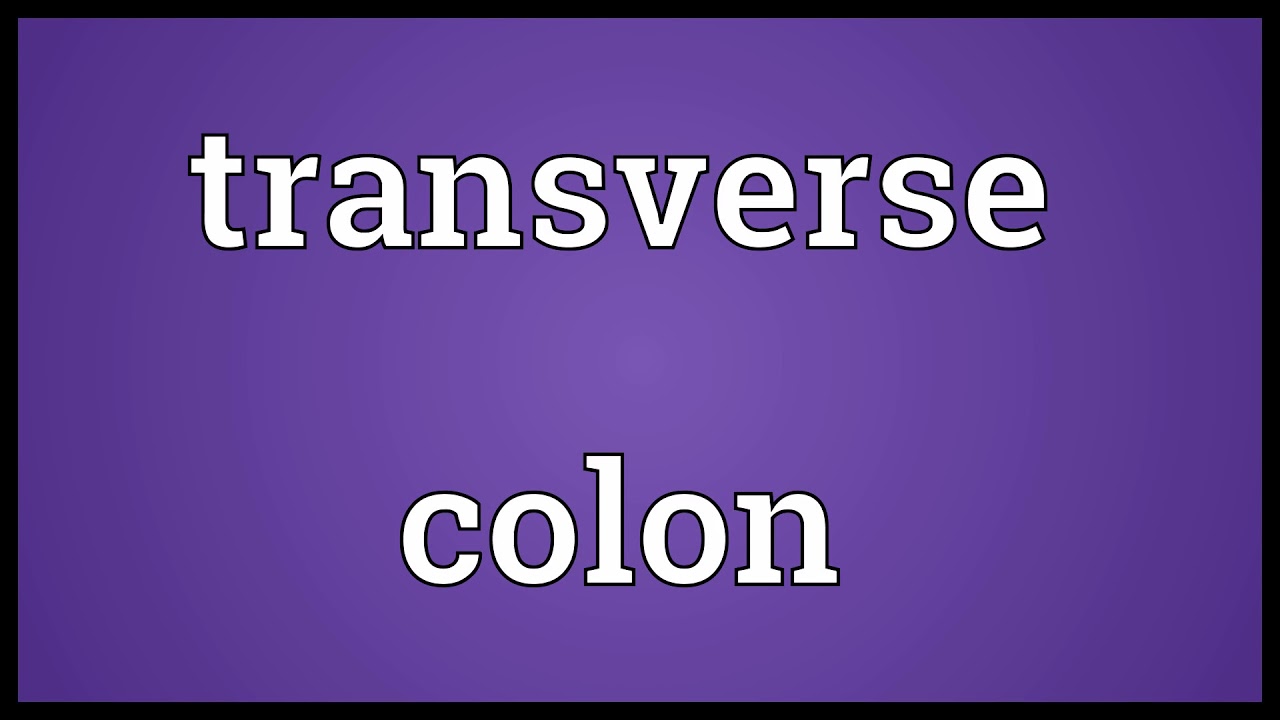 Transverse Colon Meaning YouTube transverse-colon-meaning-youtube