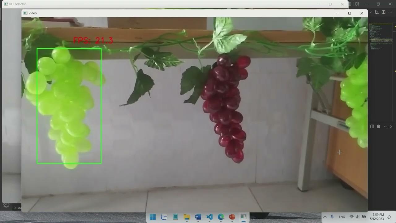 Object Tracking - Grape Tracking - YouTube