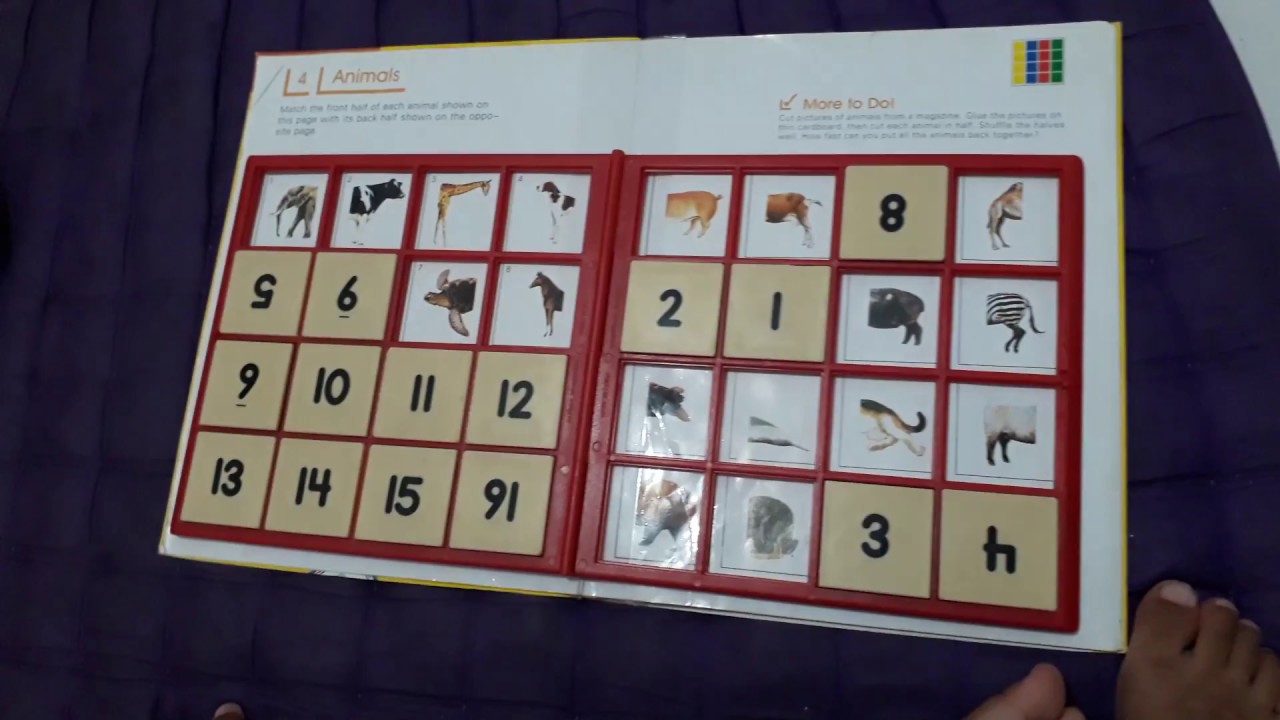 Bermain Logika untuk Anak-Anak (Level 1/Berhasil) - ( Homeschooling ...