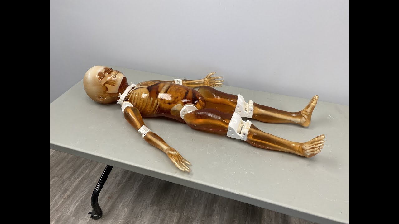 Pediatric Full Body Phantom - YouTube