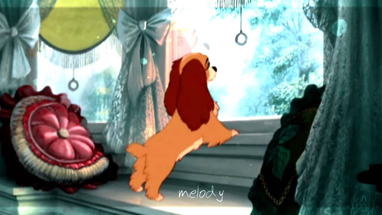 Animash ~ Nobody singing to me •{For my best friends x'3 ♥ - YouTube