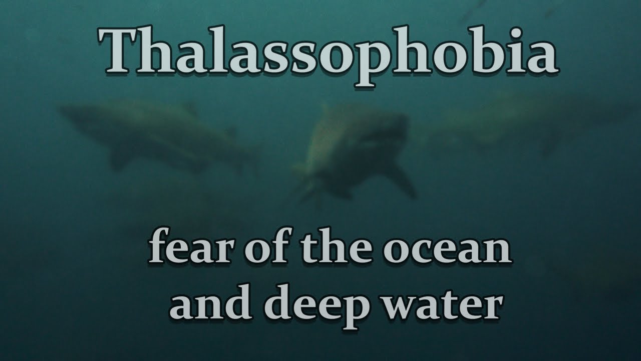 Videos That Will Trigger Your Thalassophobia - 4k Ultra HD Footage ...