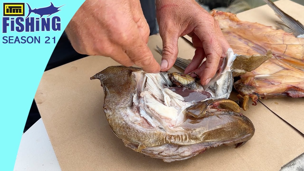 Finding, Catching, Cleaning, And Smoking Deep-Sea Fish. Bluenose ...
